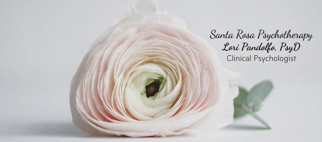 Santa Rosa Psychotherapy Home - Lori Pandolfo PsyD